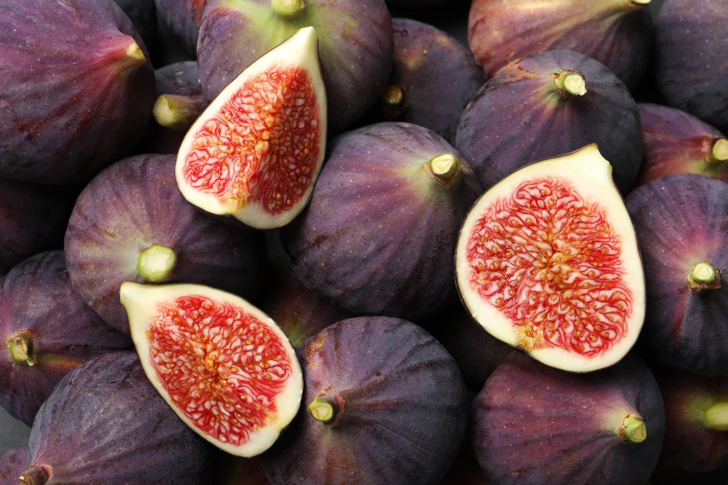 How to Grow and Care For a Fig Tree | Love The Garden